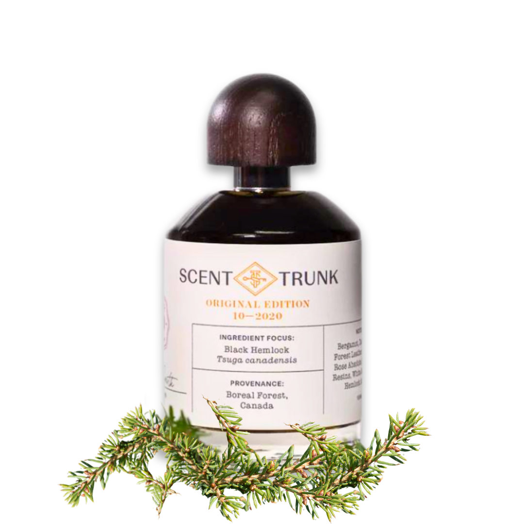 Black Hemlock by Joshua Smith x Scent Trunk | Ministry of Scent
